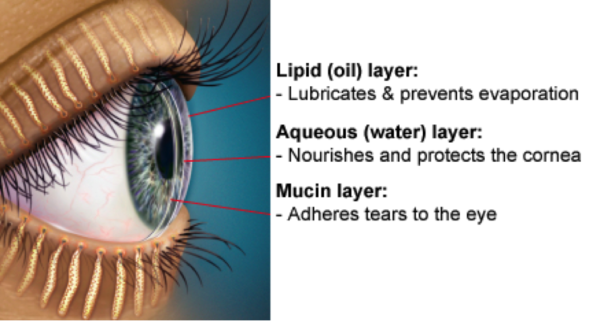 Dry Eye Treatment Austin TX – Dry Eye Syndrome Treatment